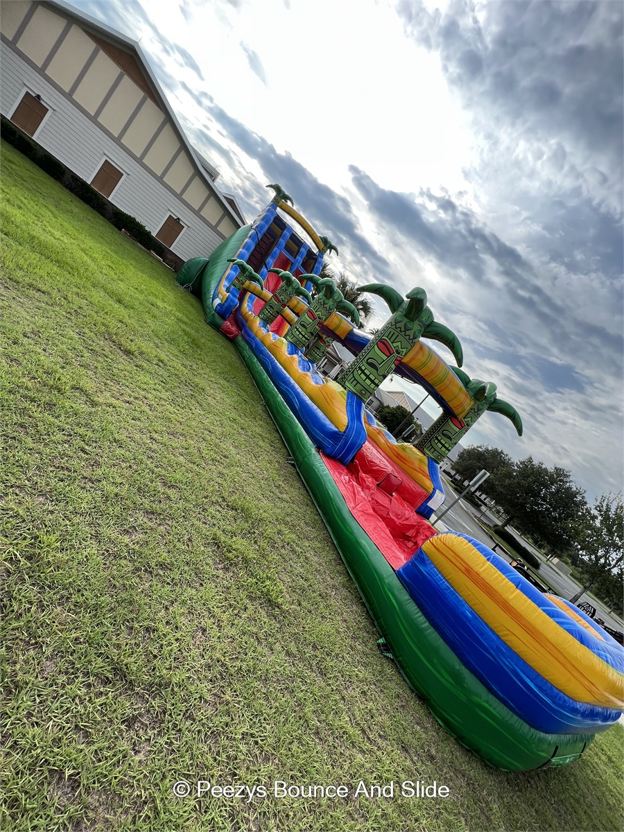 Raggae Rasta Theme Package - Ocala #1 Party Rental Company in Marion ...